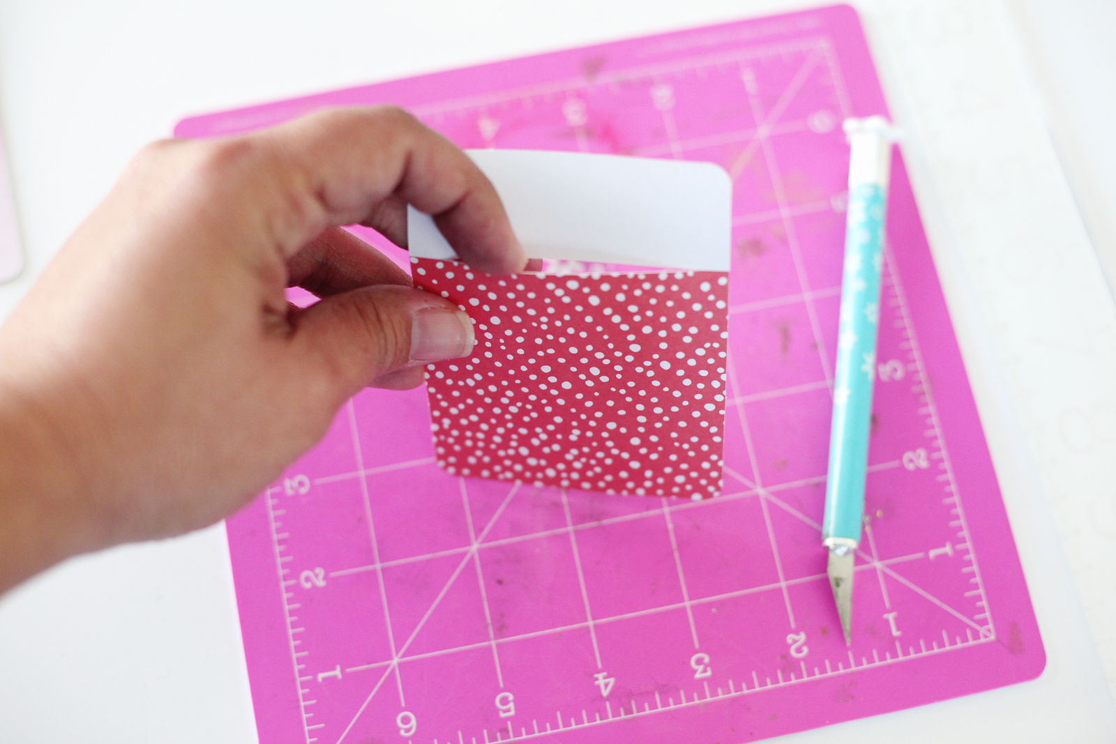 Blog: Tutorial: Using the Savannah Documenter Kit with - Studio Calico