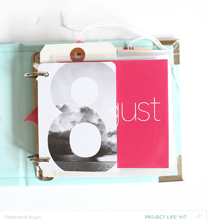 Blog: Video | Mixing it up in your Project Life® album - Studio Calico