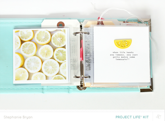 Blog: Video | Mixing it up in your Project Life® album - Studio Calico
